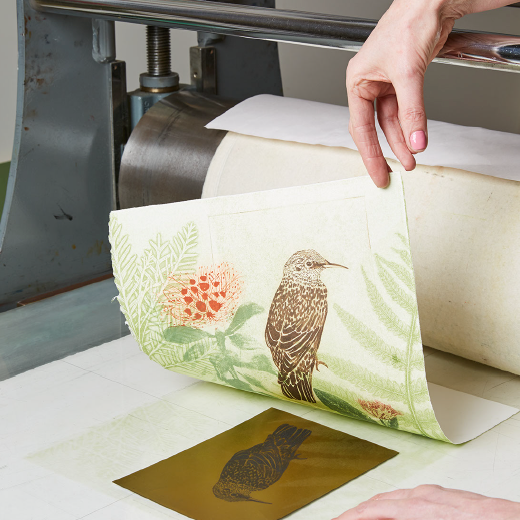 Trudy Rice Collection