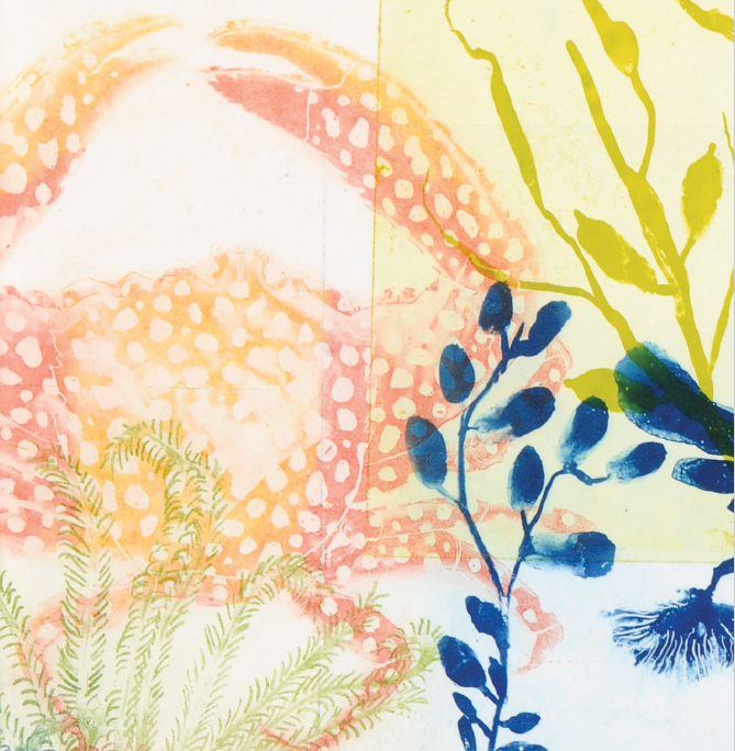 Square Greeting Card - Red Crab and Seaweed | Trudy Rice Collection