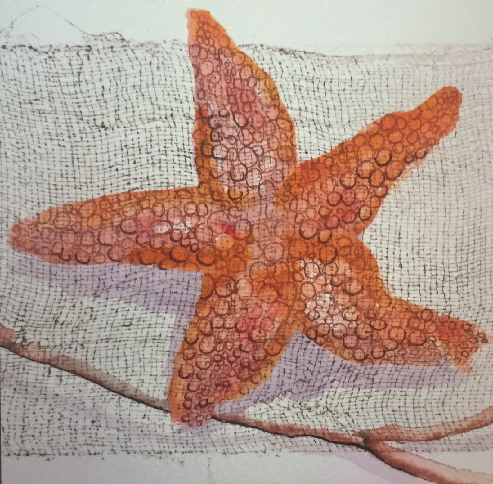 Square Greeting Card - Starfish | Trudy Rice Collection